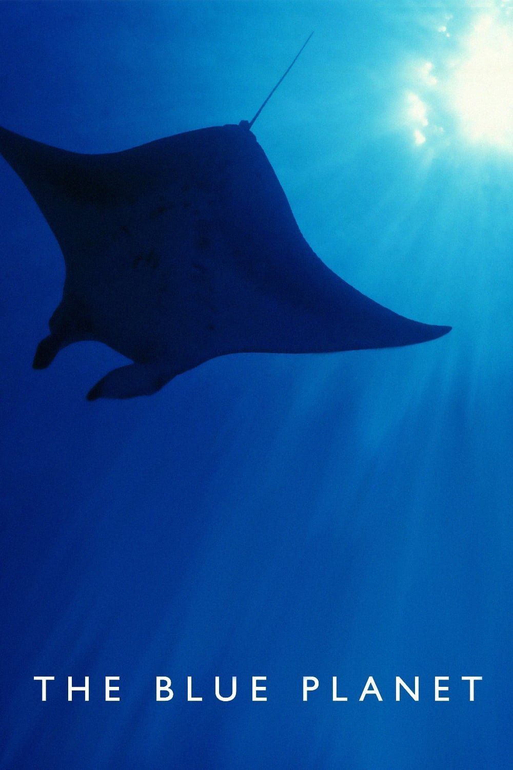 Watch The Blue Planet (2001) TV Series Online - Plex