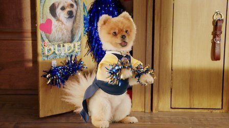 Watch Pup Academy • Season 1 Full Episodes Free Online - Plex