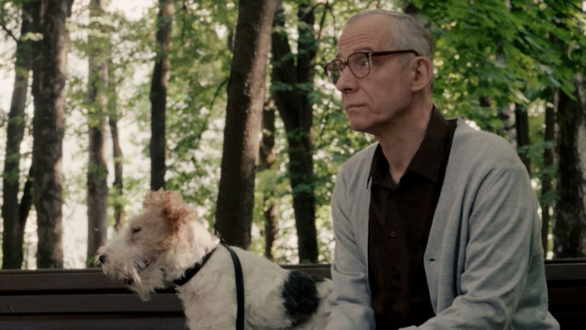 Zlo • Season 1 - Plex