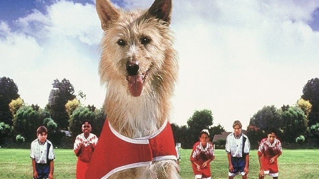 Soccer Dog: The Movie (1999) - Plex