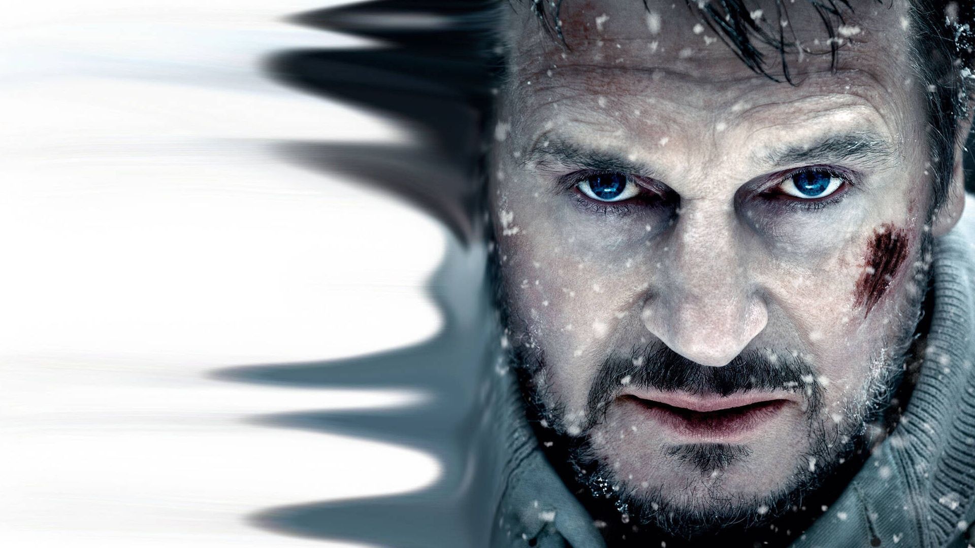 Watch Movies and TV Shows Free Online - Plex