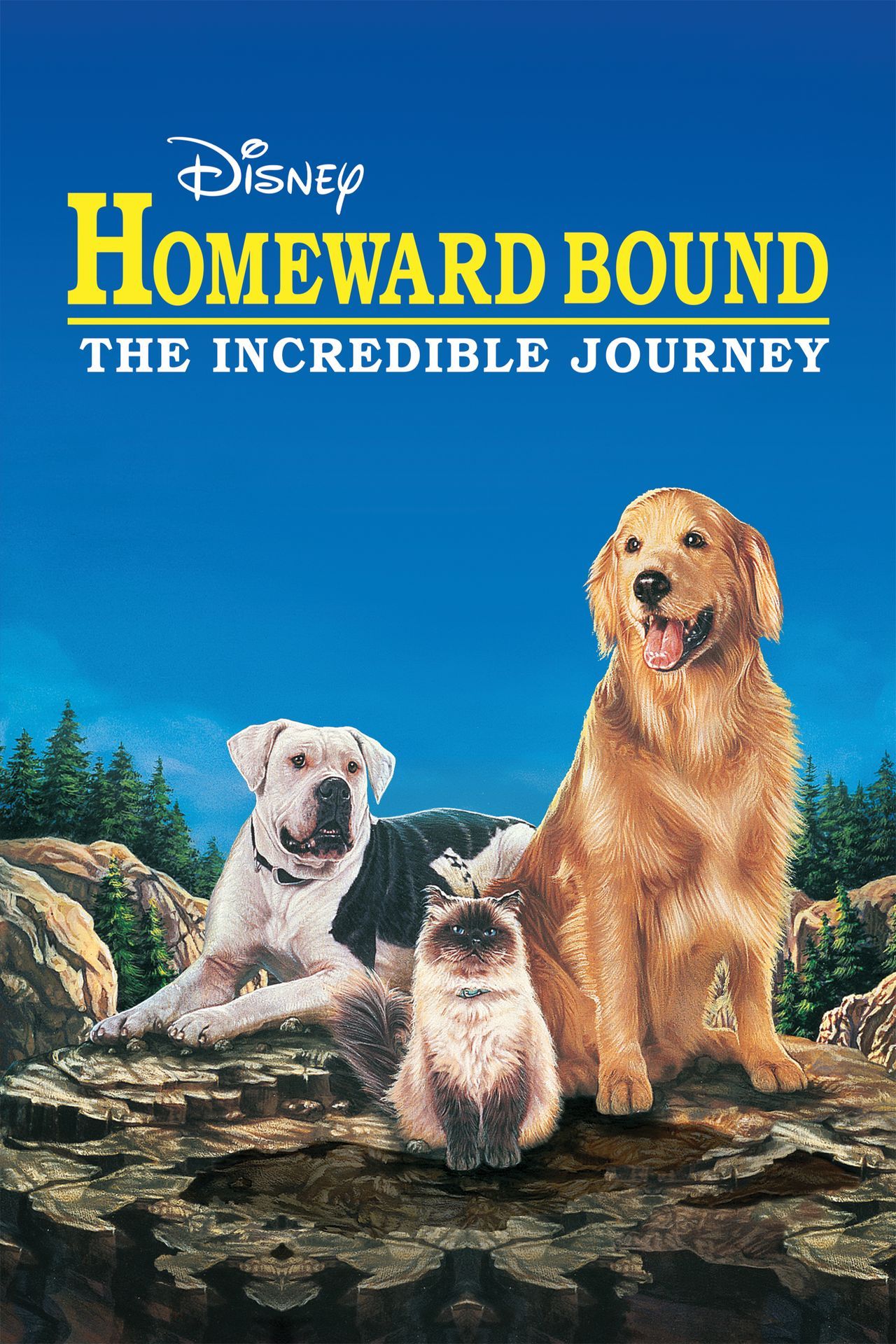 Watch Homeward Bound: The Incredible Journey (1993) Full Movie Online ...