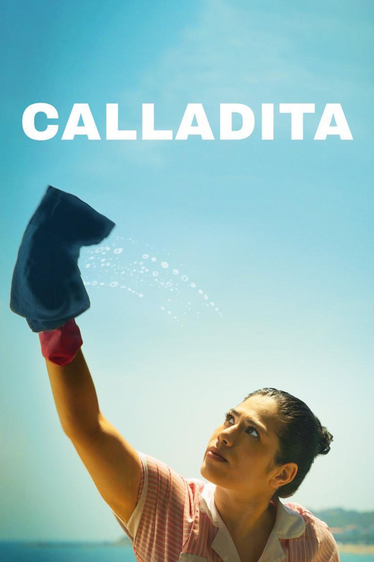 The Quiet Maid (2024) - Plex