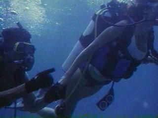 Dark Tide (1994) - Plex