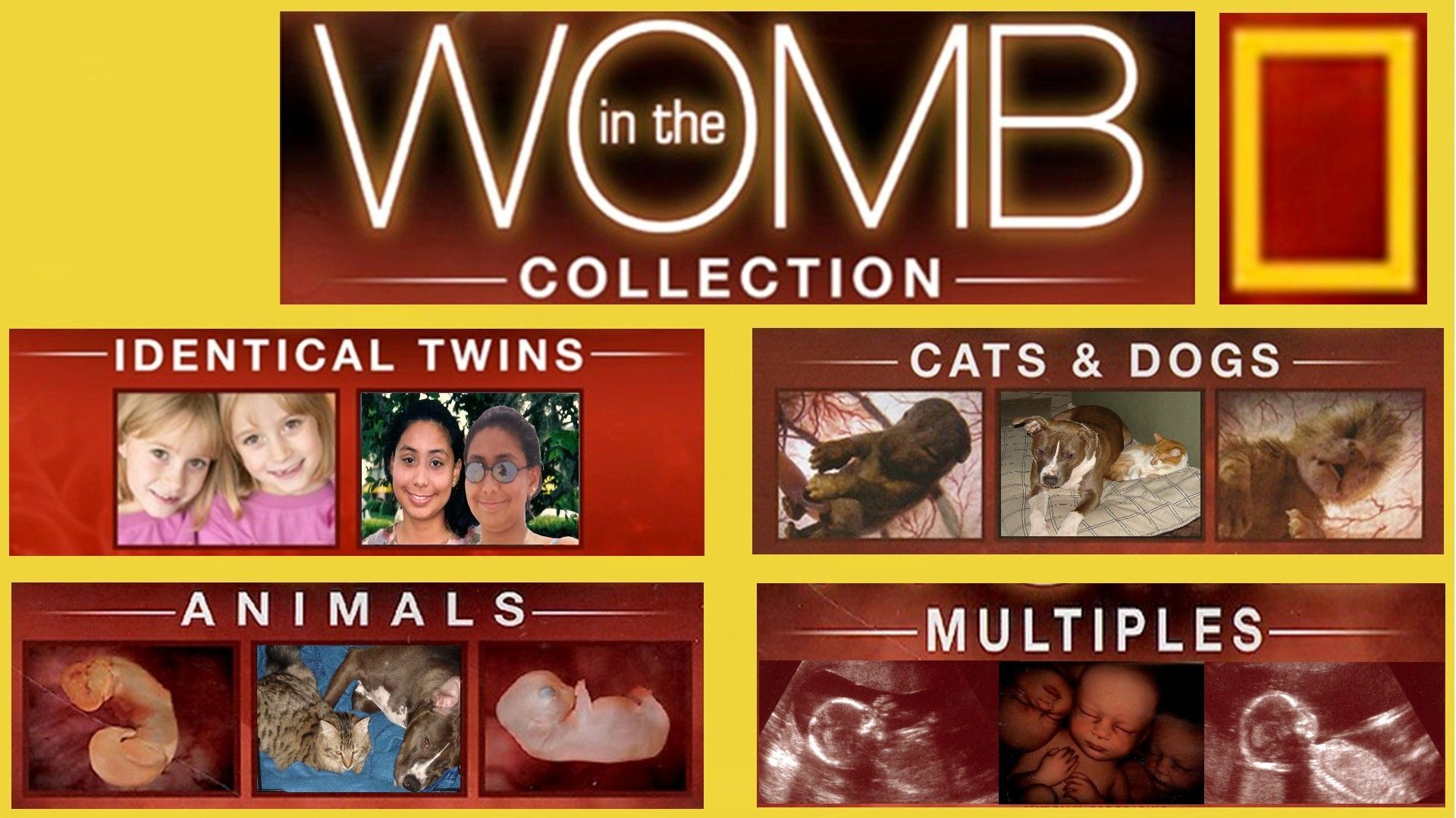 In the Womb • In the Womb - Plex