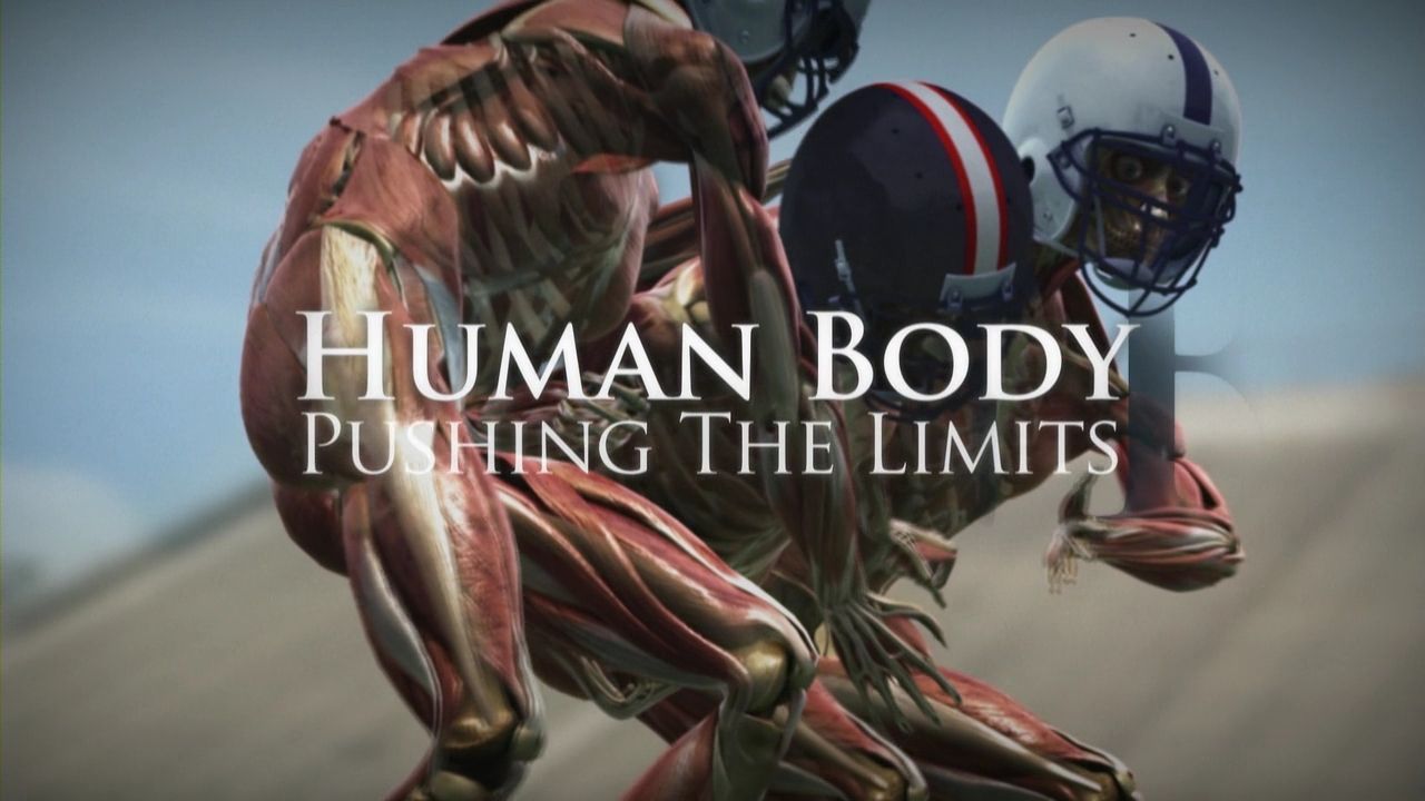 Human Body: Pushing the Limits (2008) - Plex
