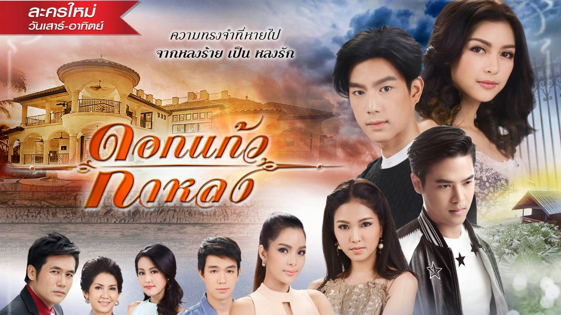 Dokkaew Kahlong (2017) - Plex