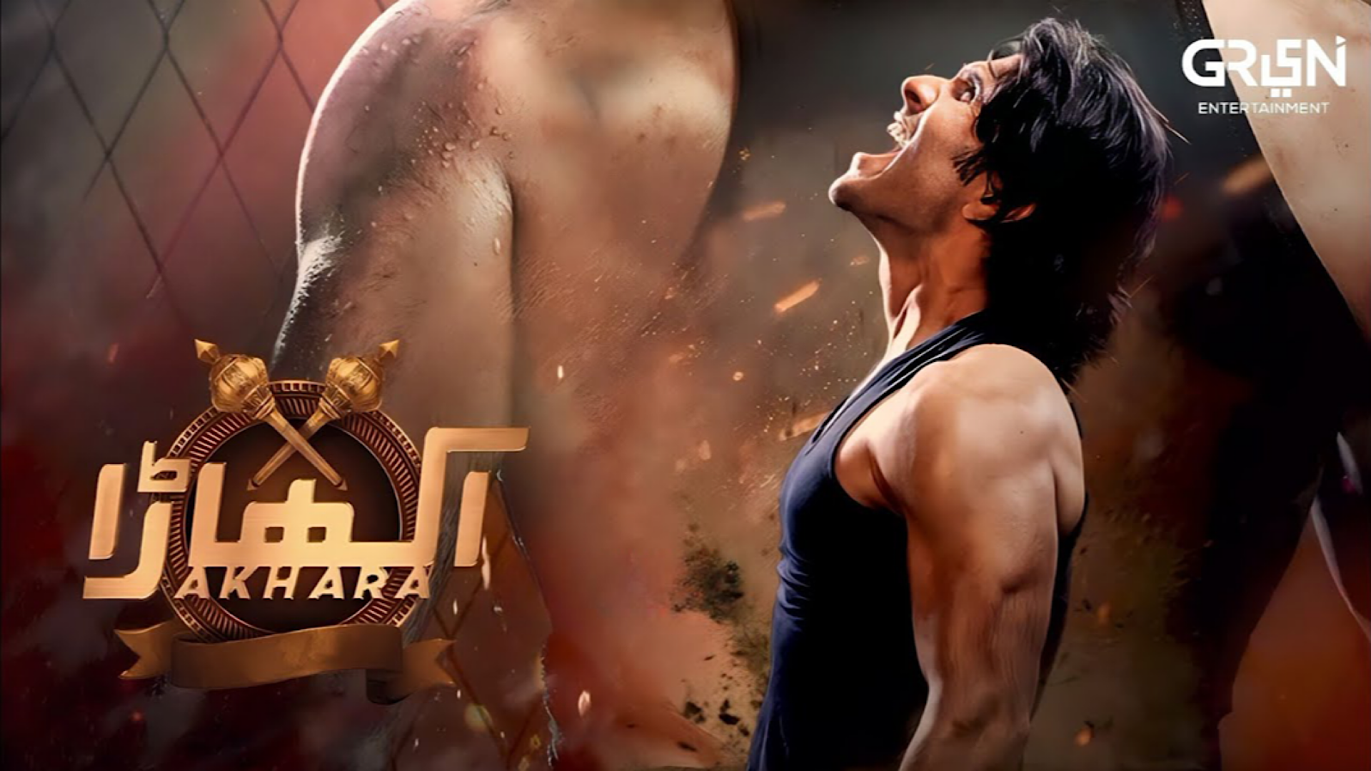 Akhara (2024) - Plex