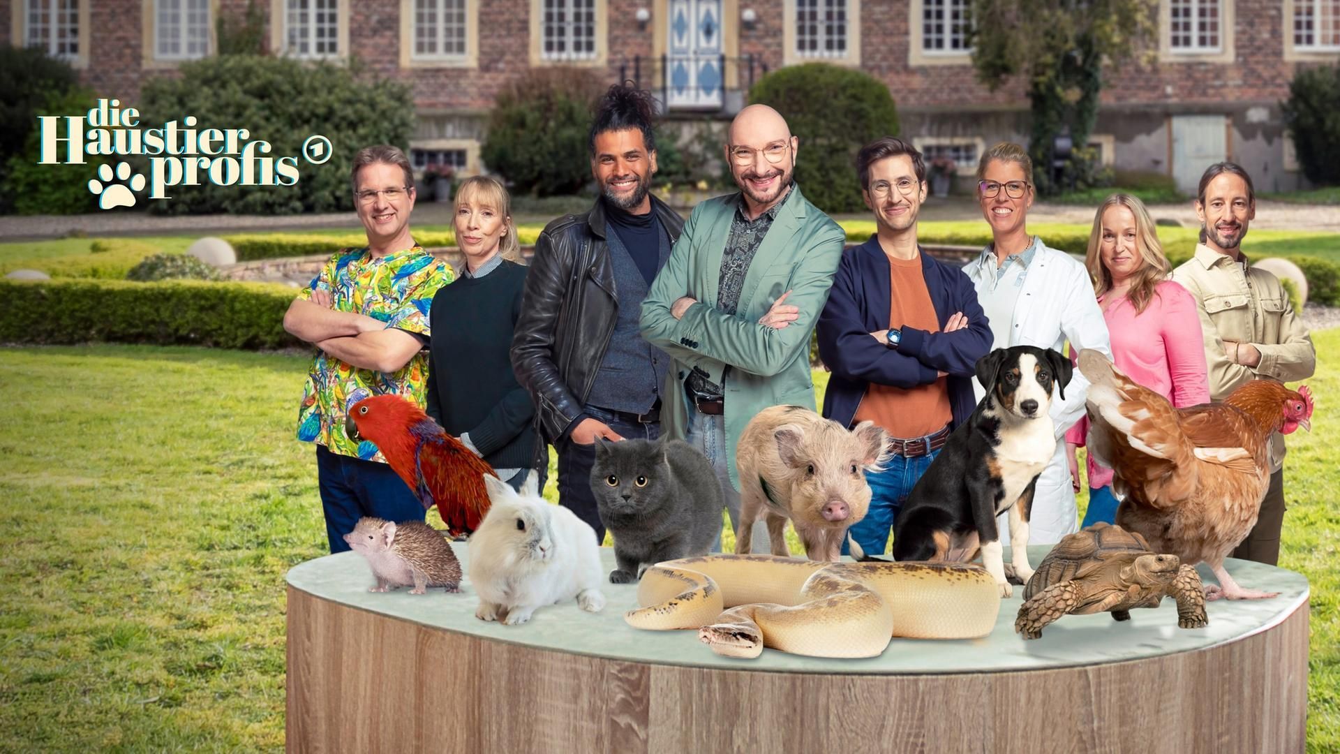 The Pet Professionals - Season 1 • Episode 1 - Haustierprofis - Plex