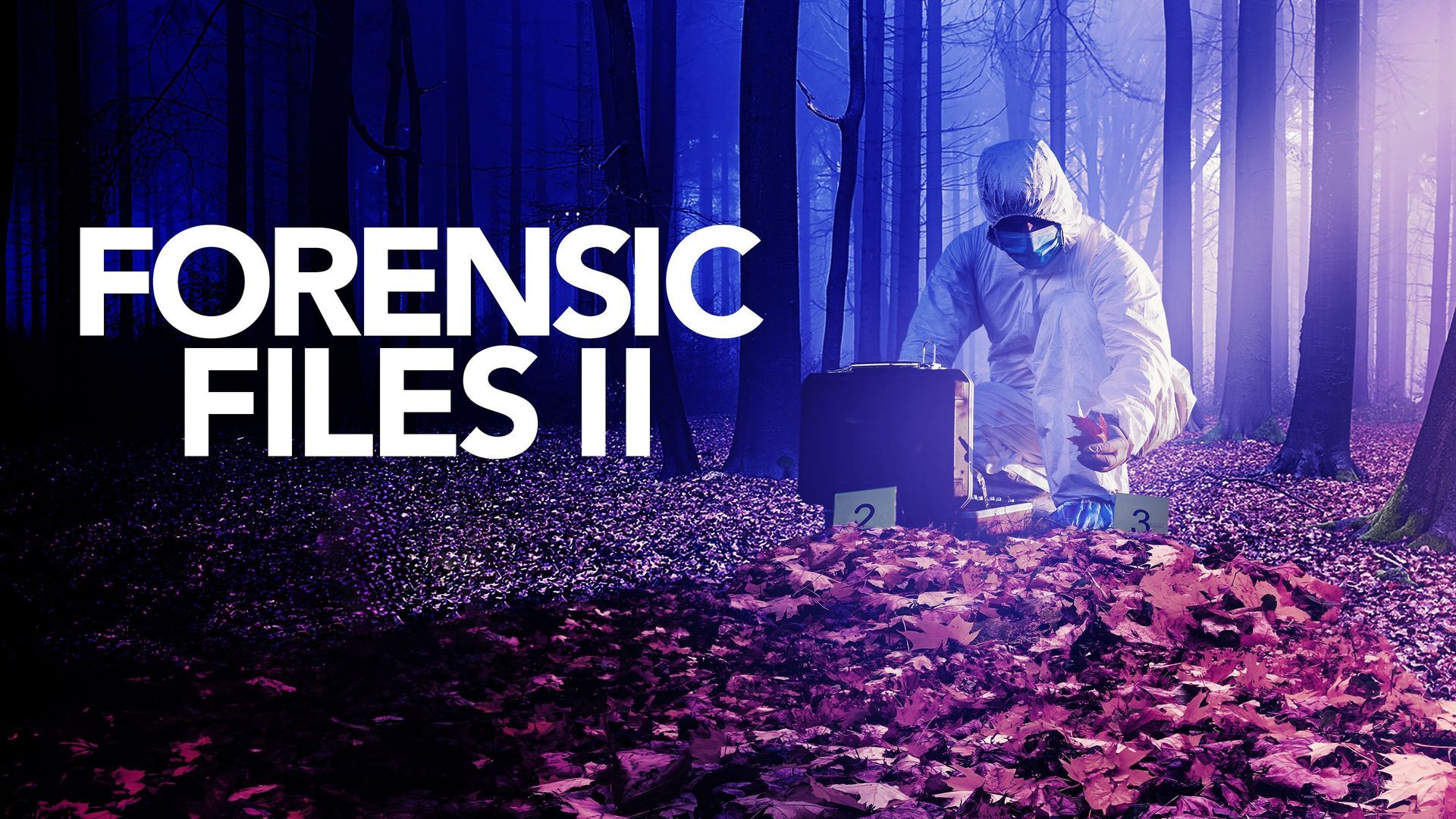 Watch Forensic Files II (2020) TV Series Free Online - Plex
