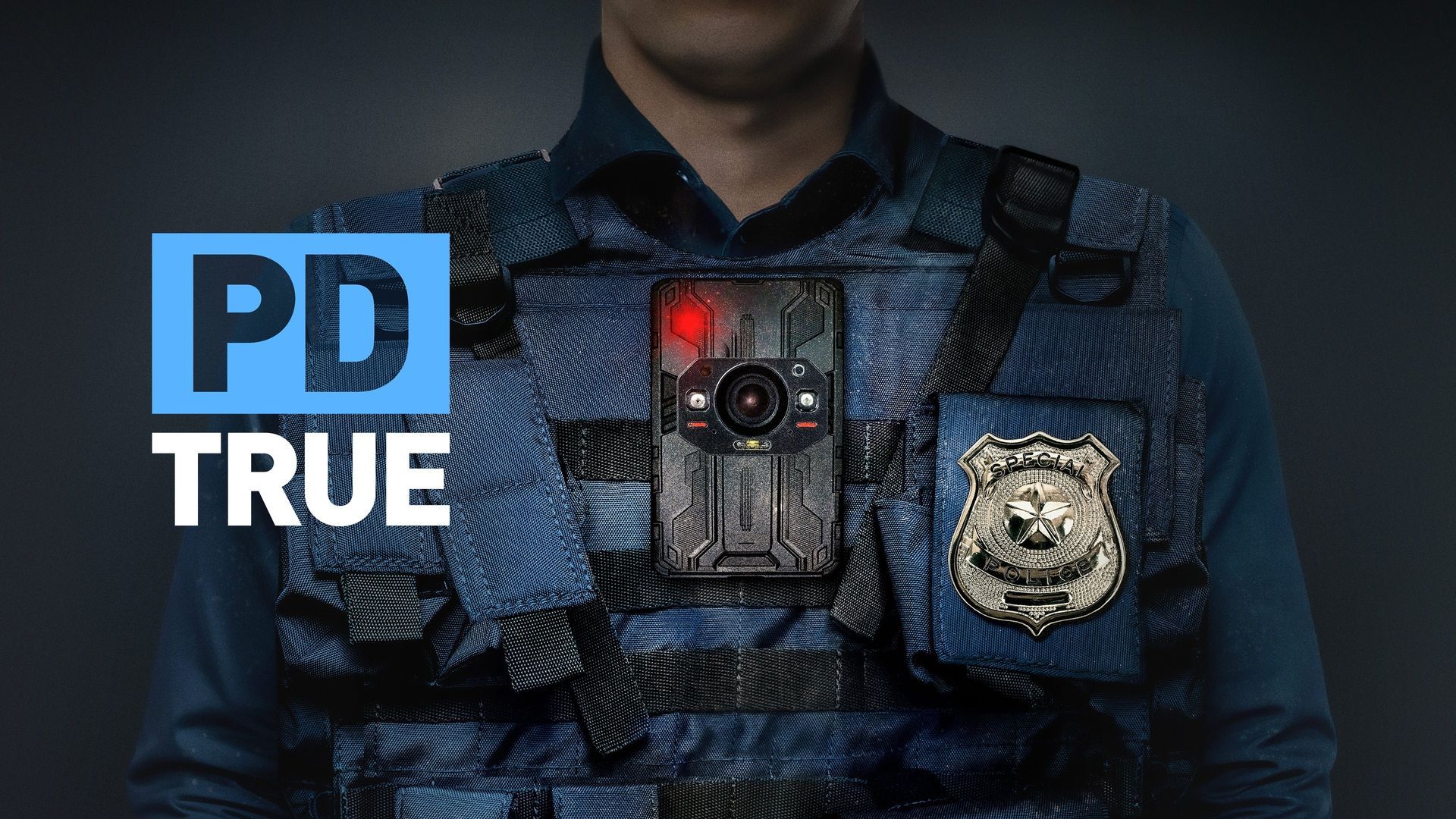 Watch PD True (2024) TV Series Online - Plex