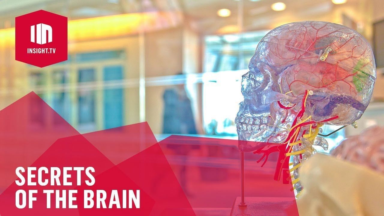 Watch Secrets of the Brain • Season 2 Full Episodes Online - Plex