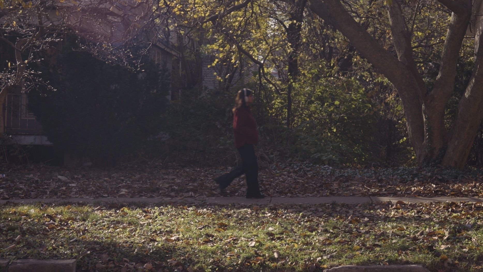 Milk Run (2024) - Plex