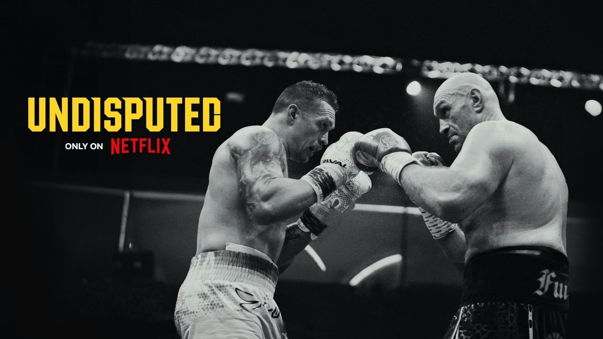 Undisputed (2024) - Plex