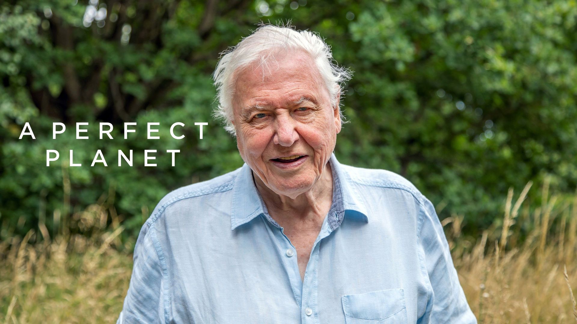 Watch A Perfect Planet · Miniseries Full Episodes Online - Plex