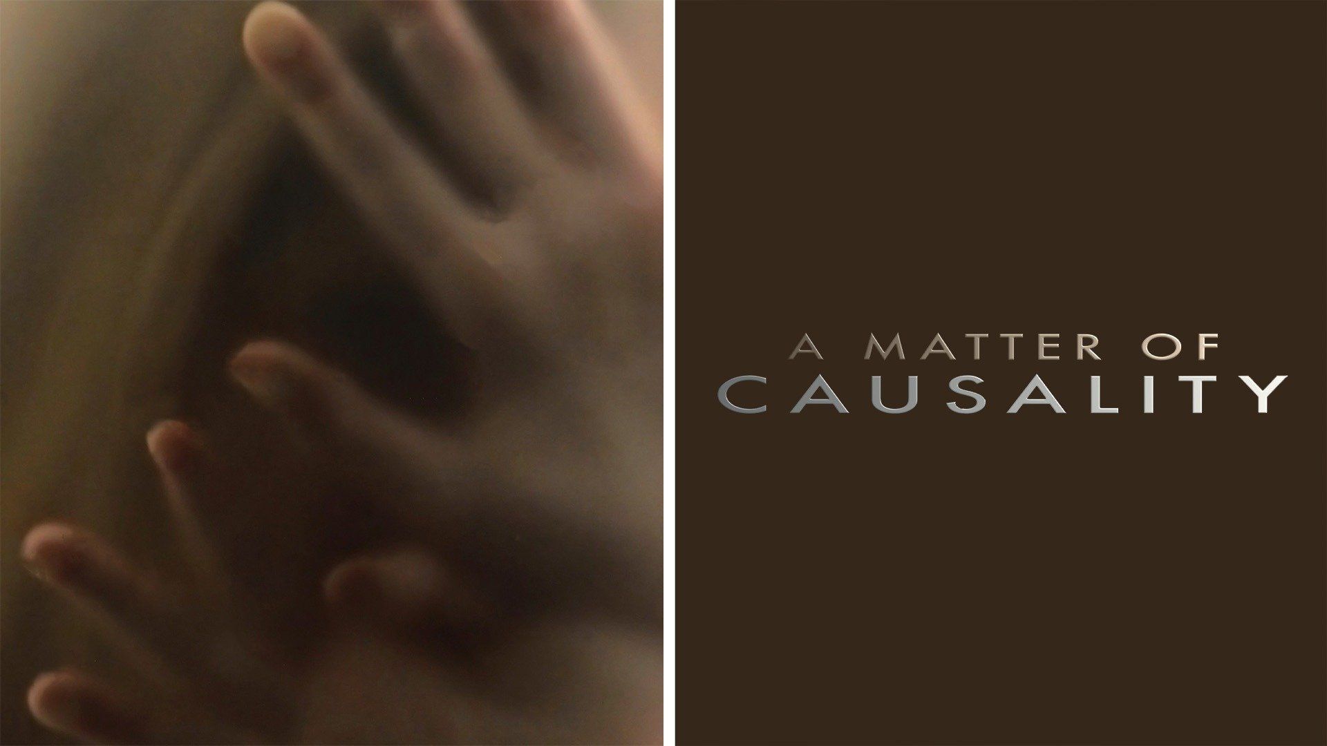 Watch A Matter of Causality (2021) Full Movie Free Online - Plex