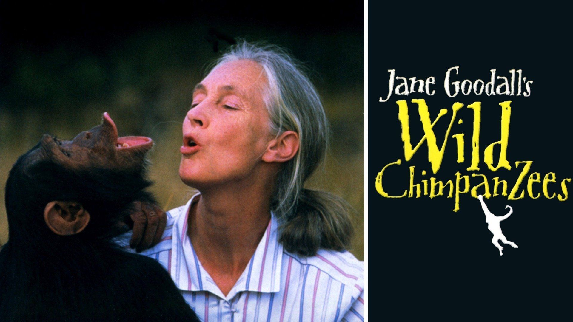 Jane Goodall's Wild Chimpanzees (2002) - Plex
