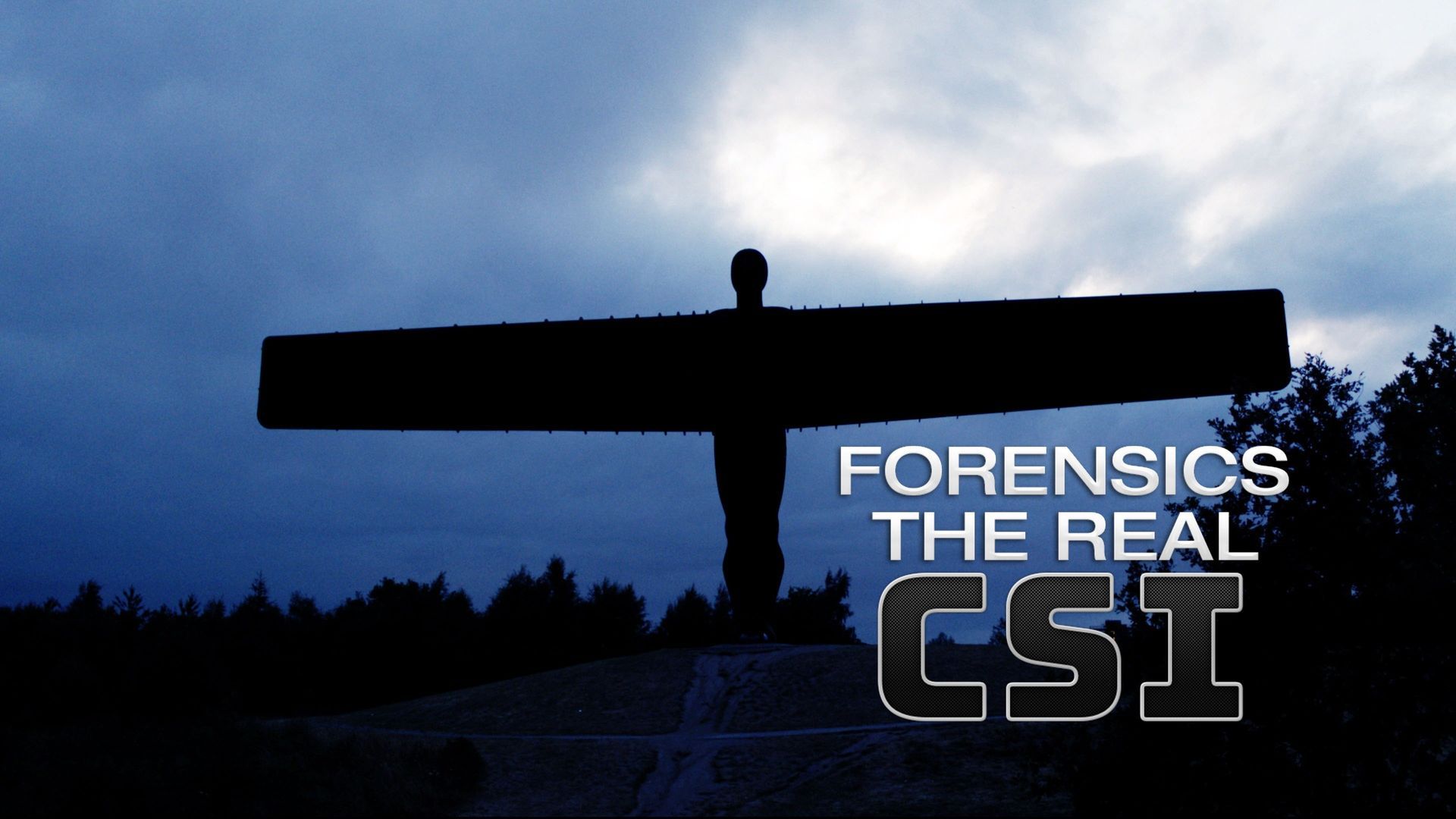 Watch Forensics: The Real CSI • Season 1 Full Episodes Online - Plex