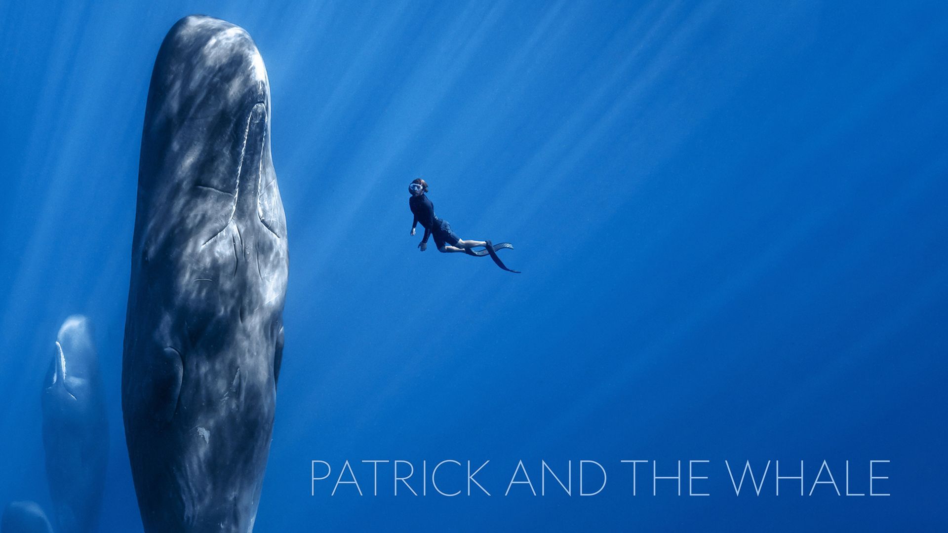 Watch Patrick and the Whale (2023) Full Movie Online - Plex