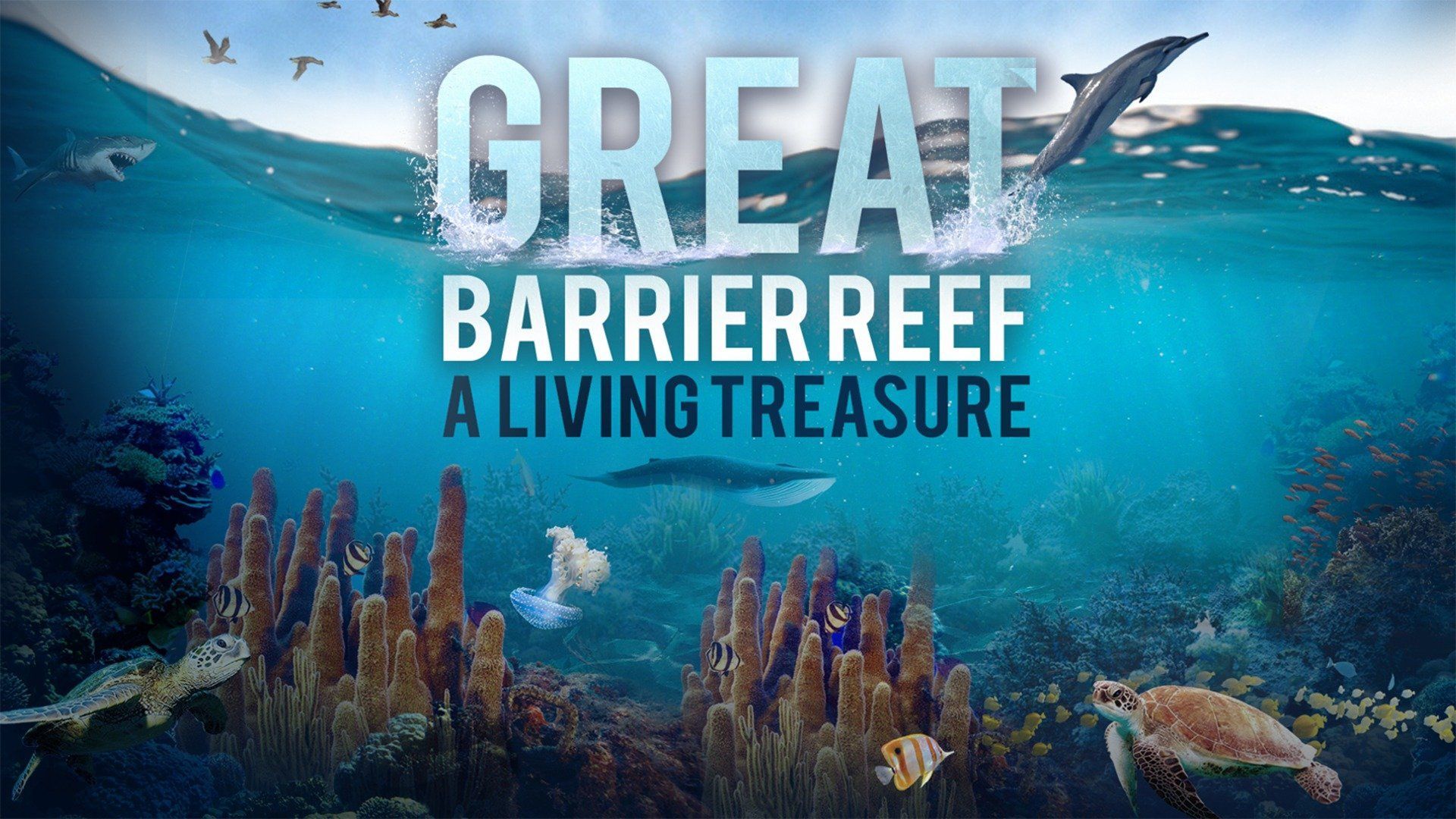 Watch Great Barrier Reef: A Living Treasure - Season 1 • Episode 1 ...