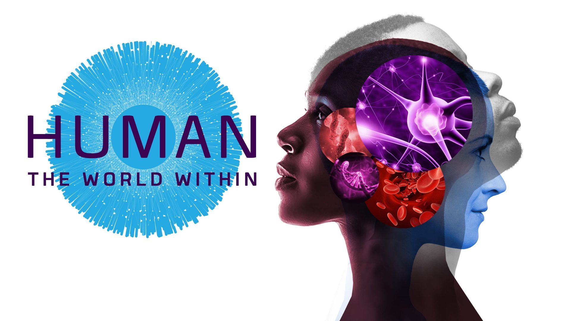 Watch Human: The World Within (2021) TV Series Online - Plex