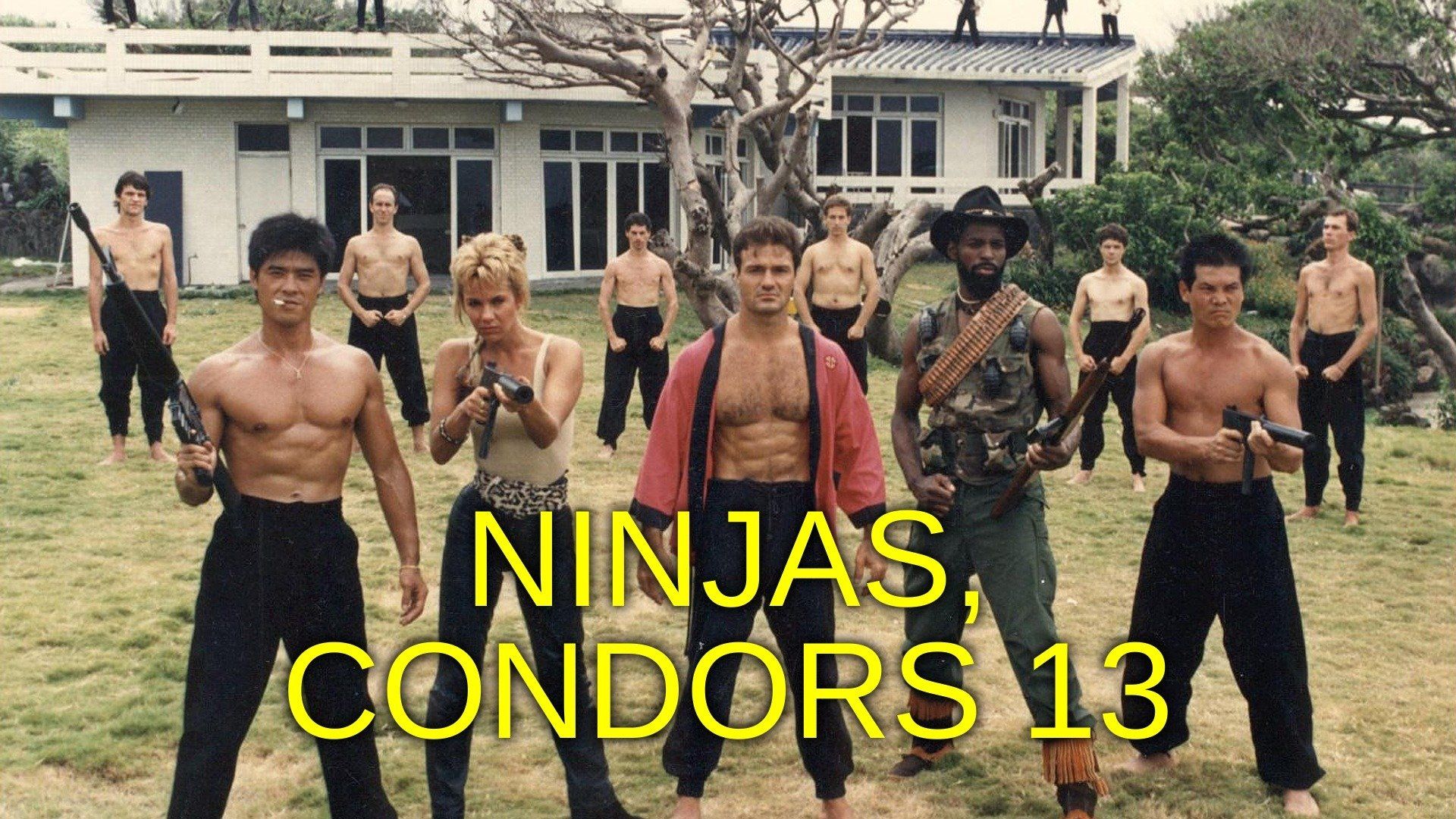 Watch Ninjas, Condors 13 (1987) Full Movie Free Online - Plex