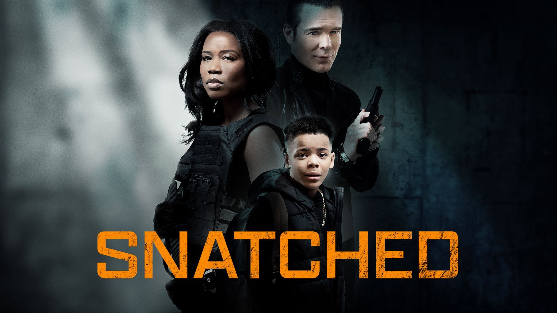 Watch Snatched (2024) Full Movie Free Online - Plex