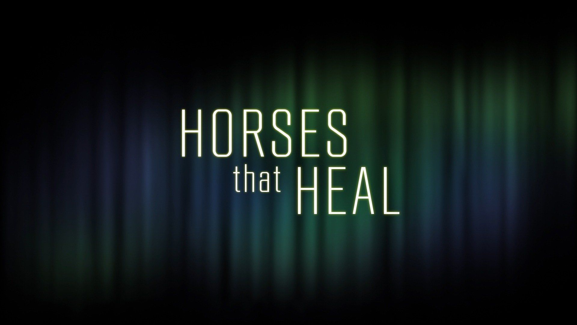 Watch Horses That Heal (2016) Full Movie Online - Plex