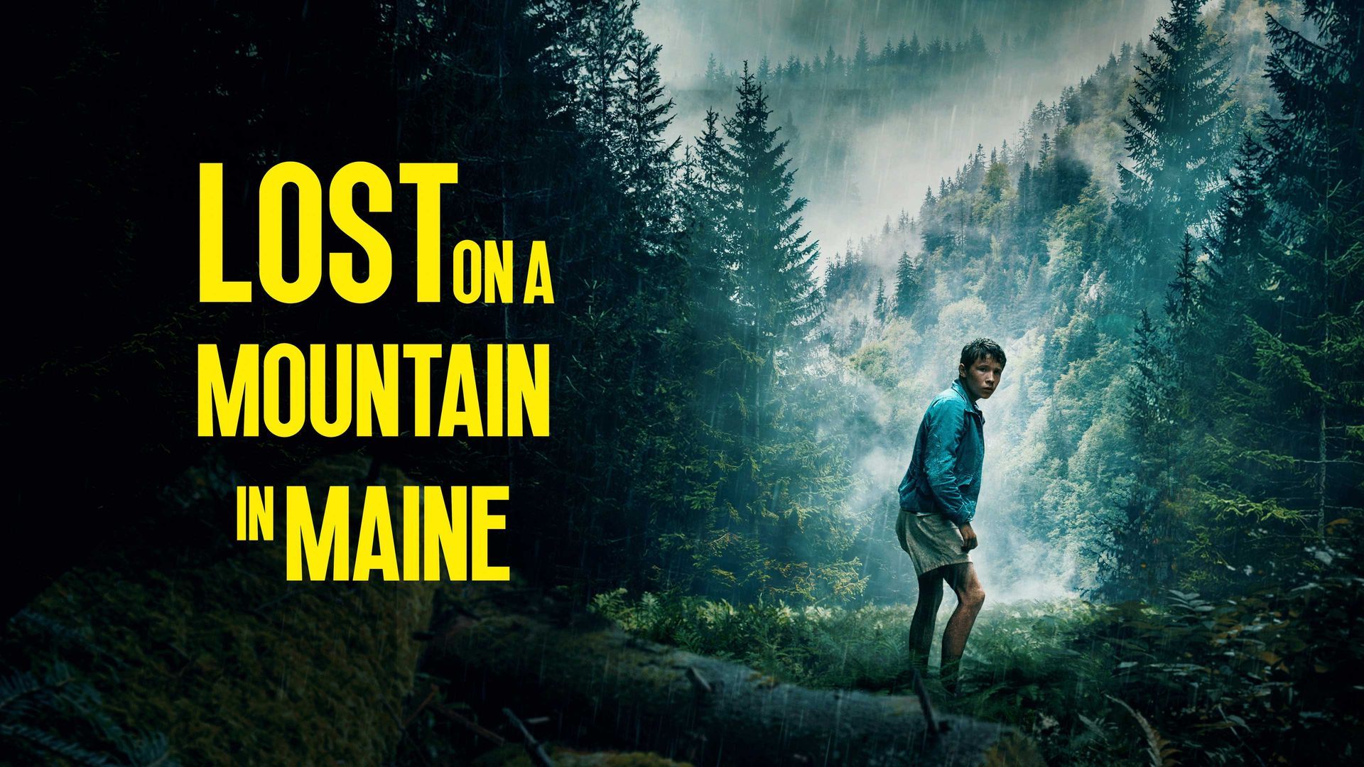 Watch Lost on a Mountain in Maine (2024) Full Movie Free Online - Plex