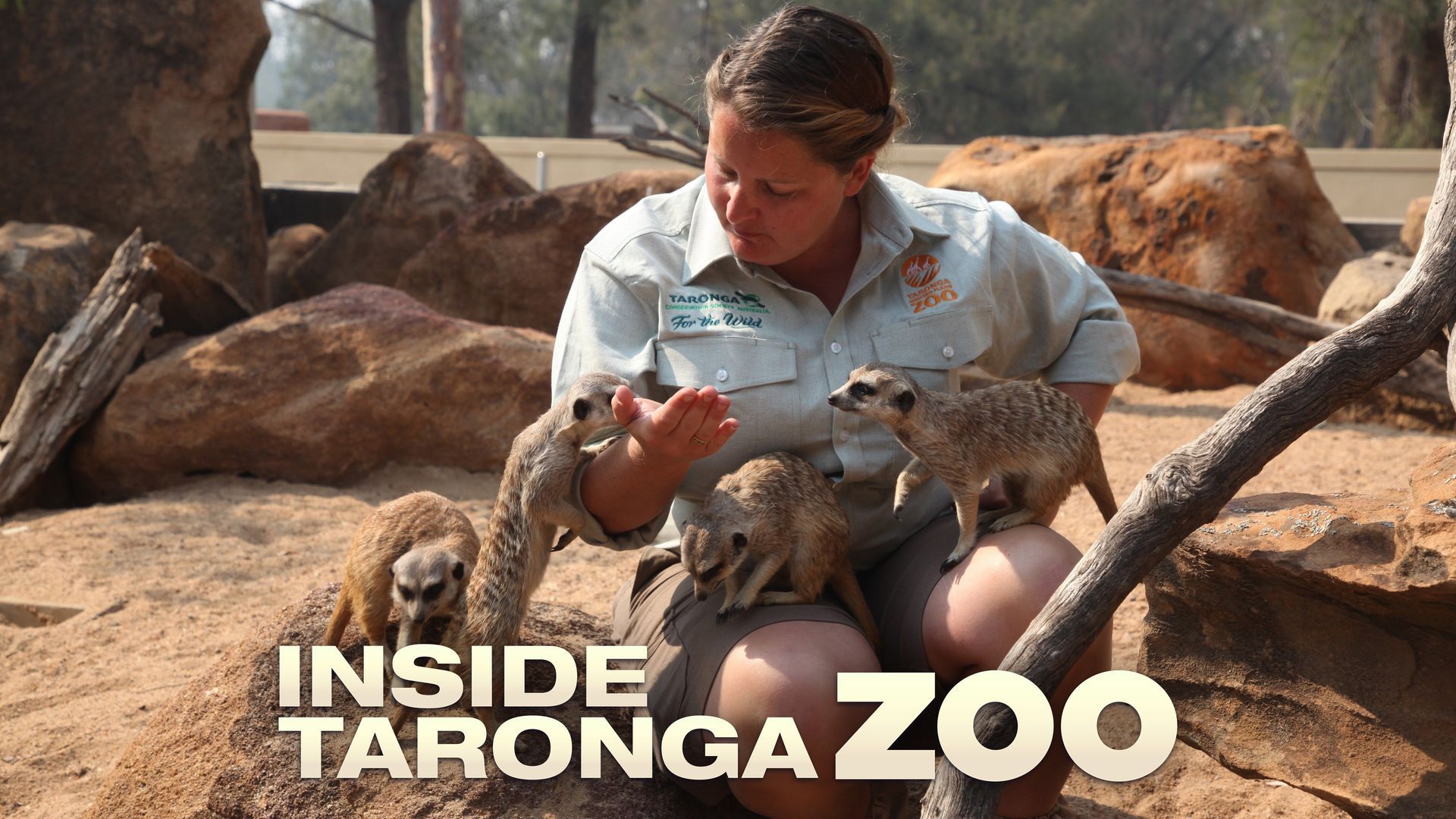 Taronga: Who’s Who In The Zoo · Season 1 Episode 3 · Platypus - Plex