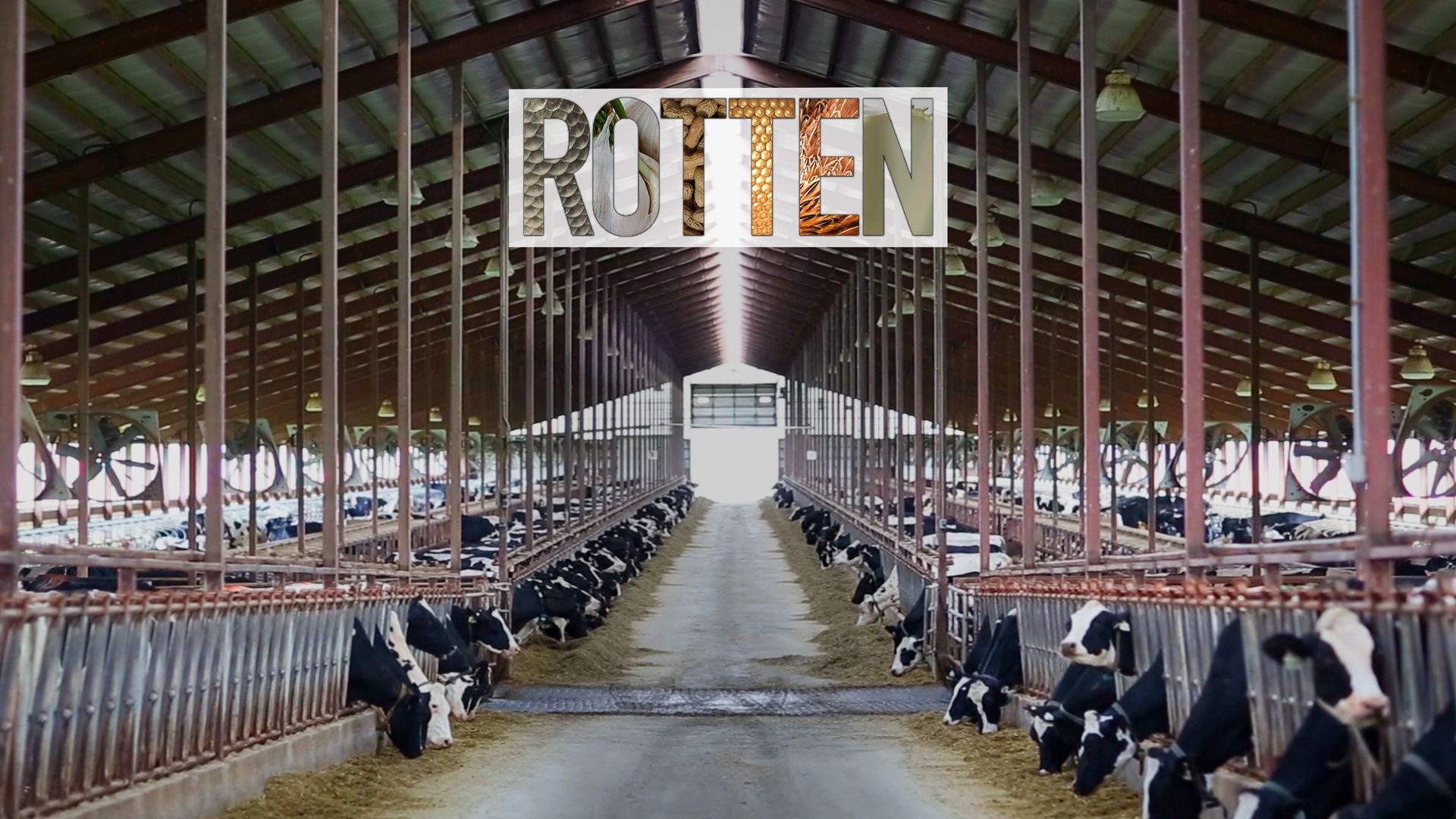 Watch Rotten - Season 2 • Episode 3 - Troubled Water Full Episode ...