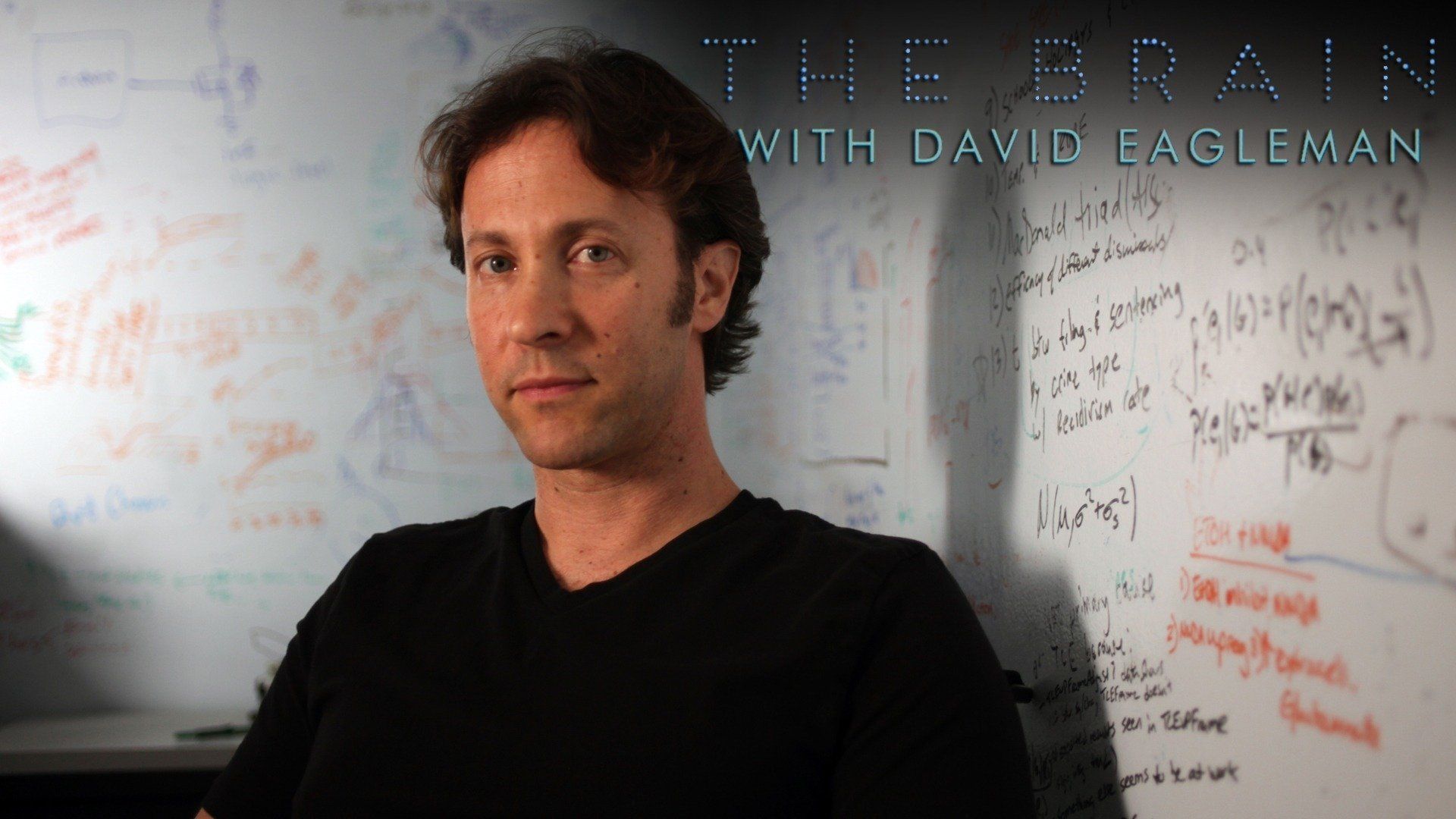 Watch The Brain with David Eagleman · Season 1 Episode 1 · What is ...