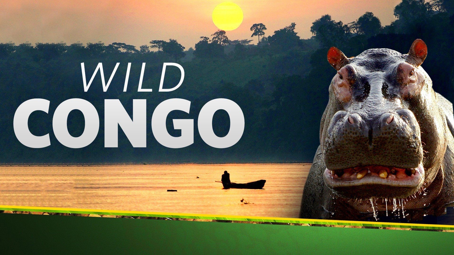 Wild Congo · Season 1 - Plex