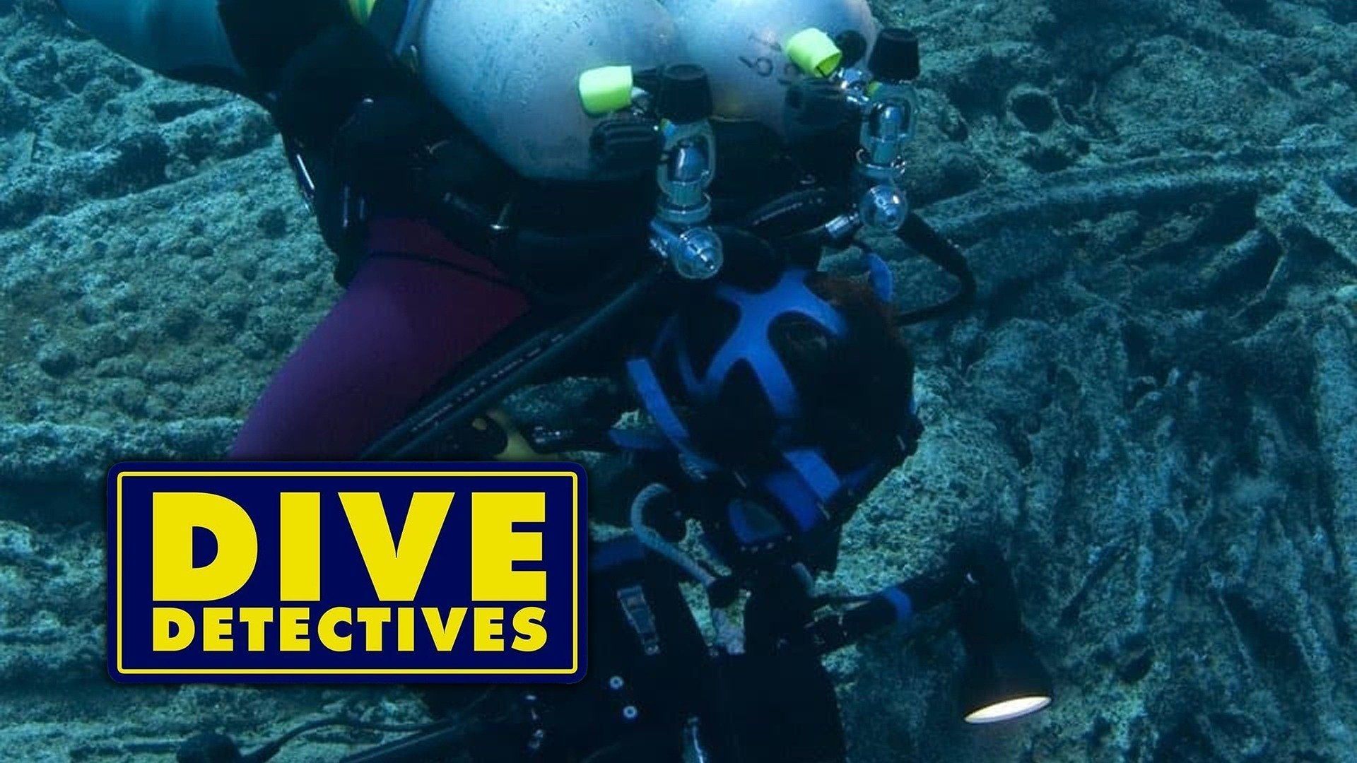 Watch Dive Detectives (2010) TV Series Free Online - Plex