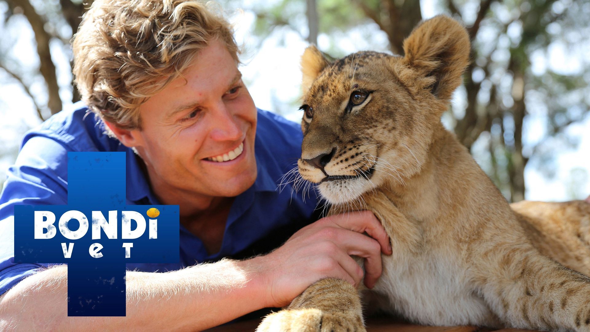Bondi Vet · Season 6 - Plex