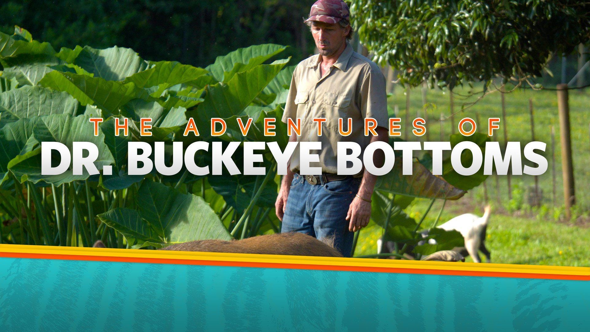 Watch The Adventures of Dr. Buckeye Bottoms · Season 1 Full Episodes ...