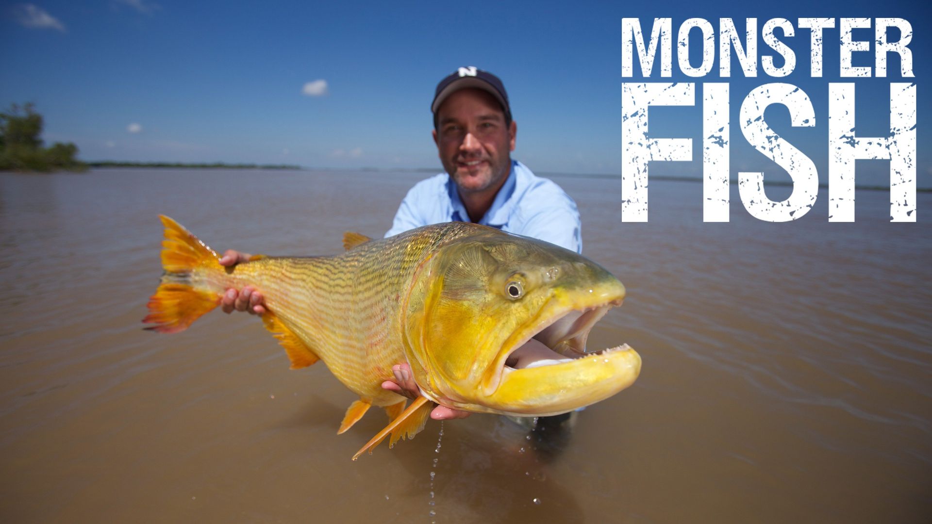 Monster Fish · Season 4 - Plex