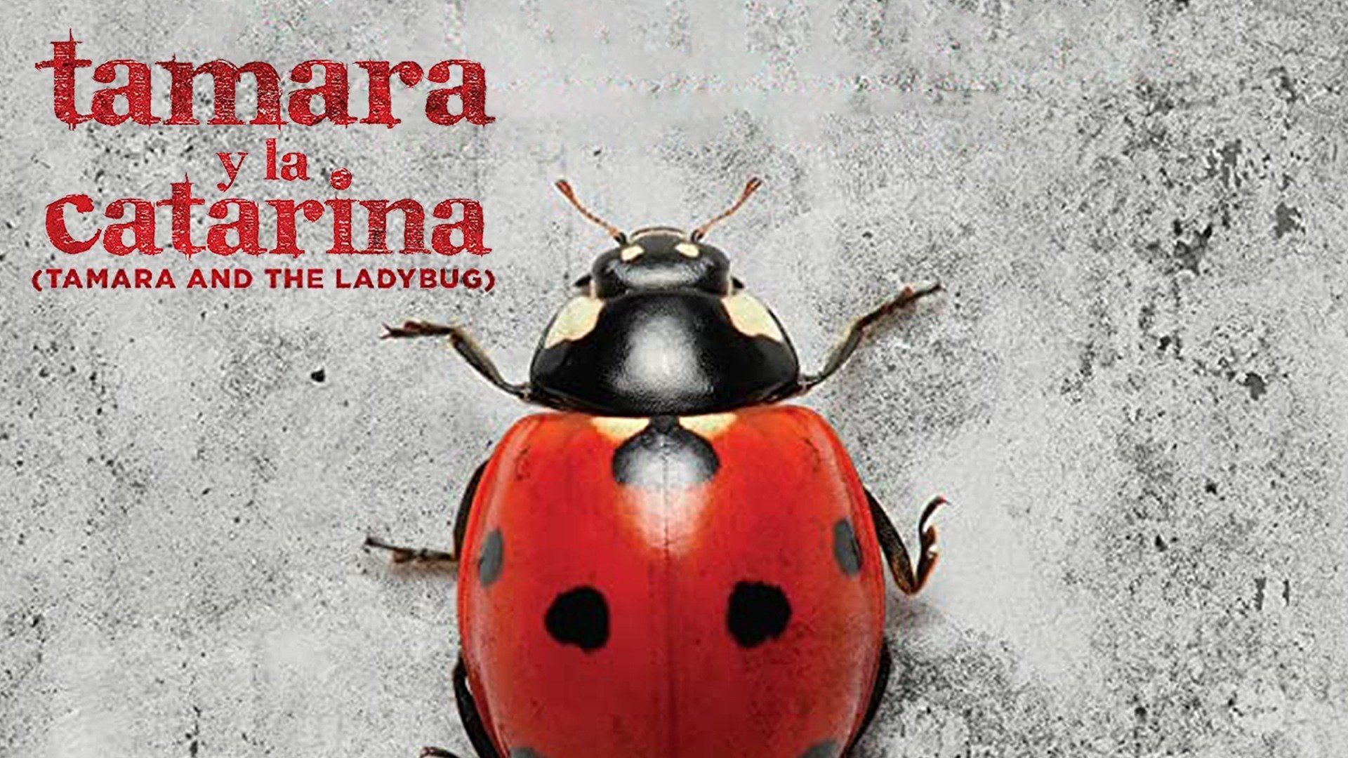 Tamara and the Ladybug (2016) - Plex
