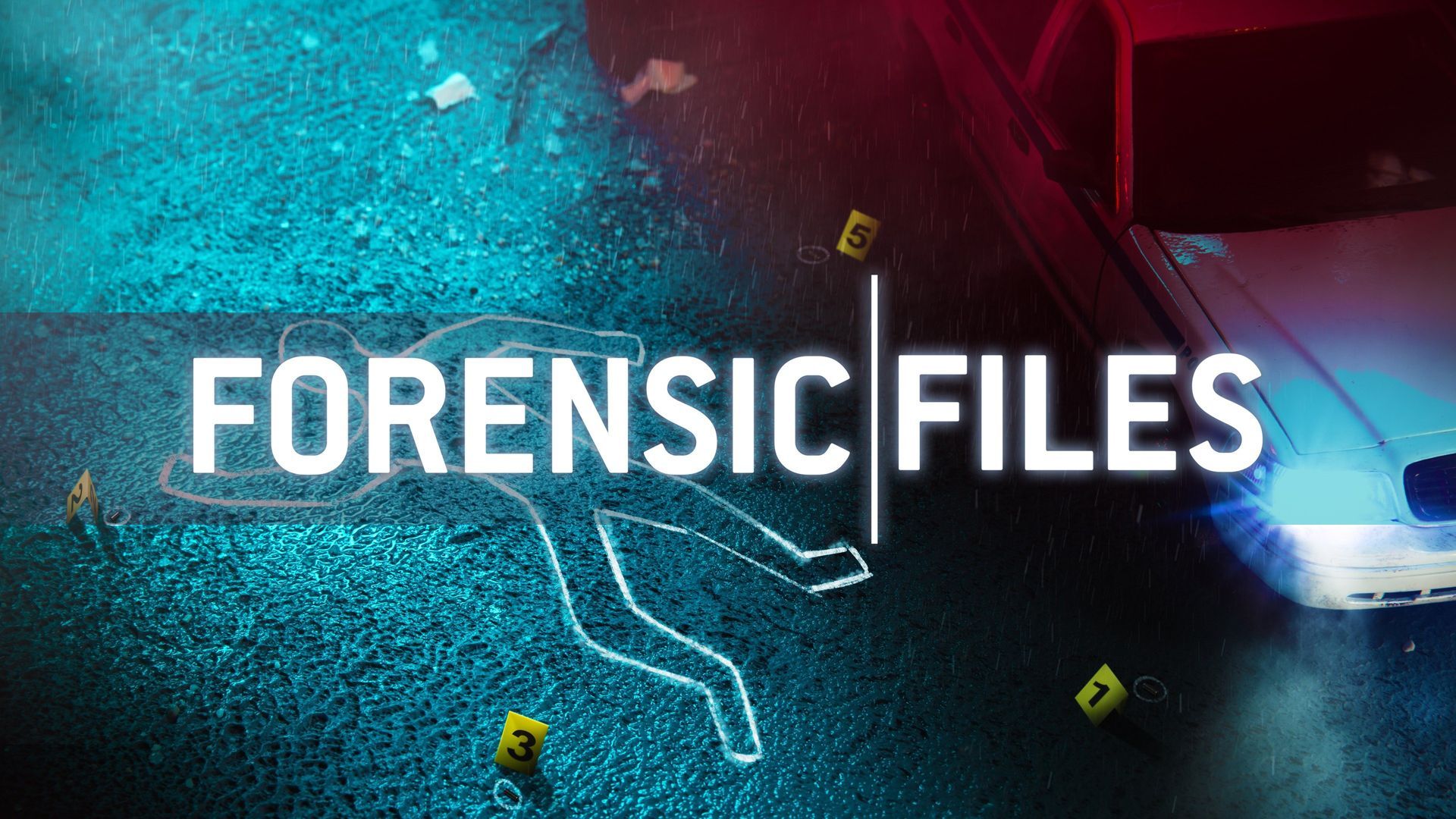 Watch Forensic Files • Season 6 Full Episodes Free Online - Plex