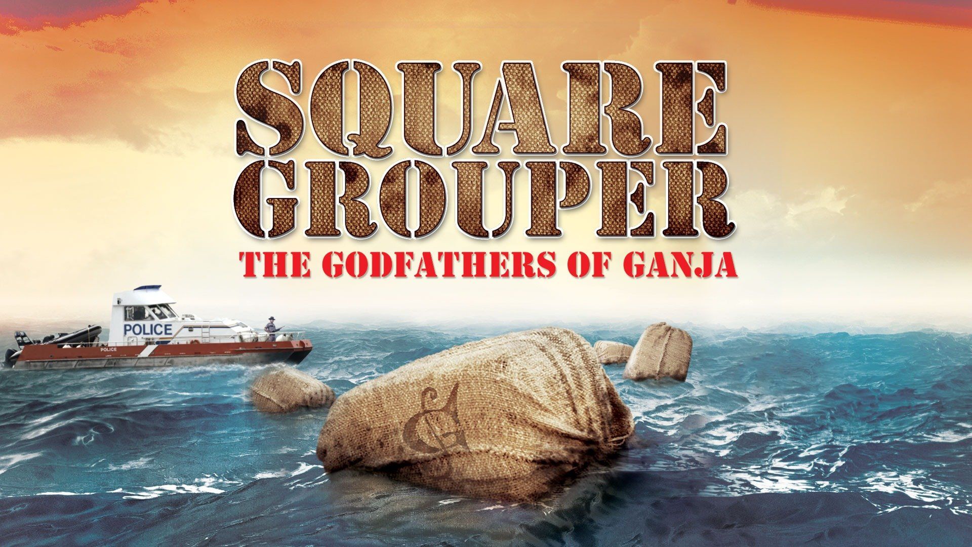 Watch Square Grouper (2011) Full Movie Free Online - Plex