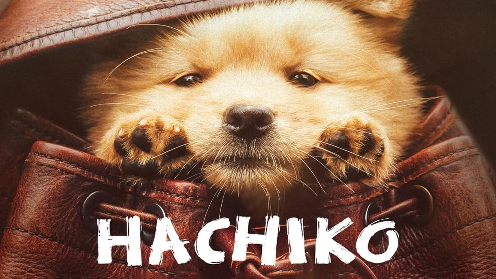 Hachiko (2023) - Plex