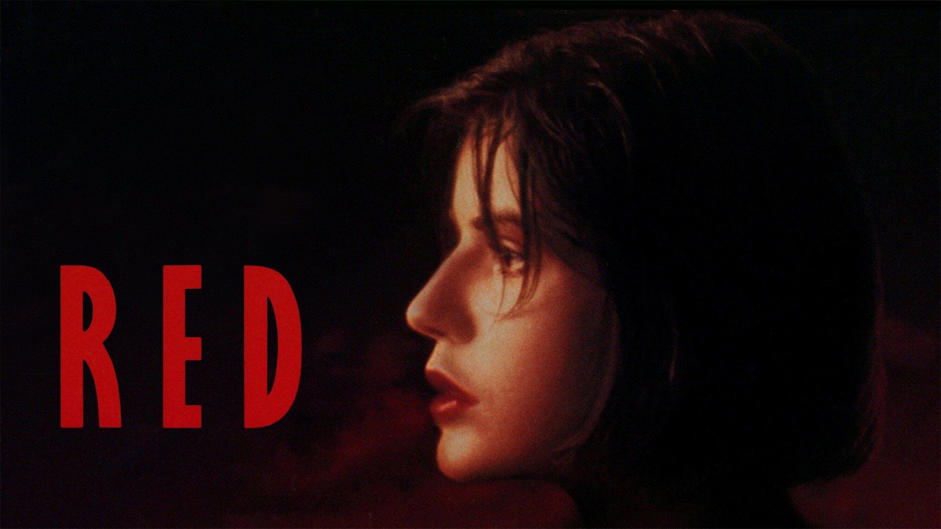 Watch Three Colors: Red (1994) Full Movie Online - Plex