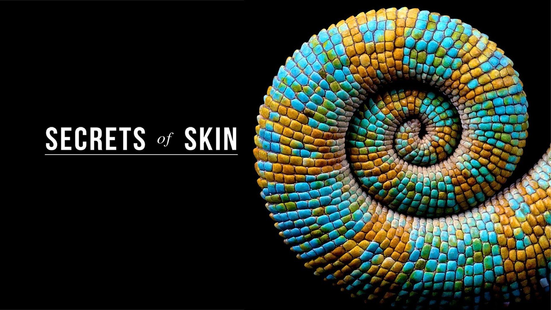 Secrets of Skin (2019) - Plex