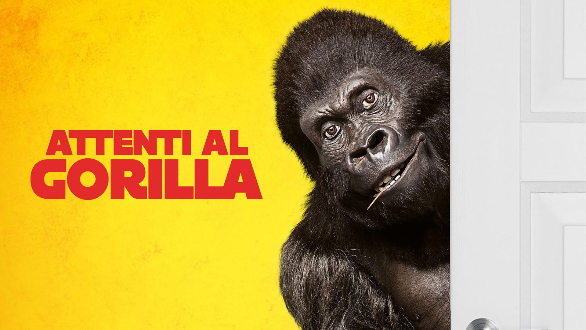 Beware the Gorilla (2019) - Plex