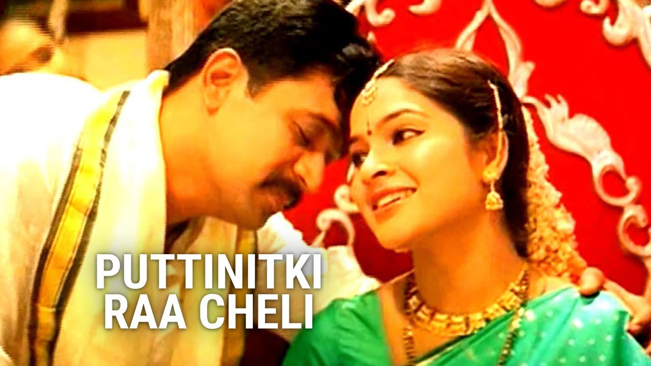 Puttintiki Raa Chelli (2004) - Plex