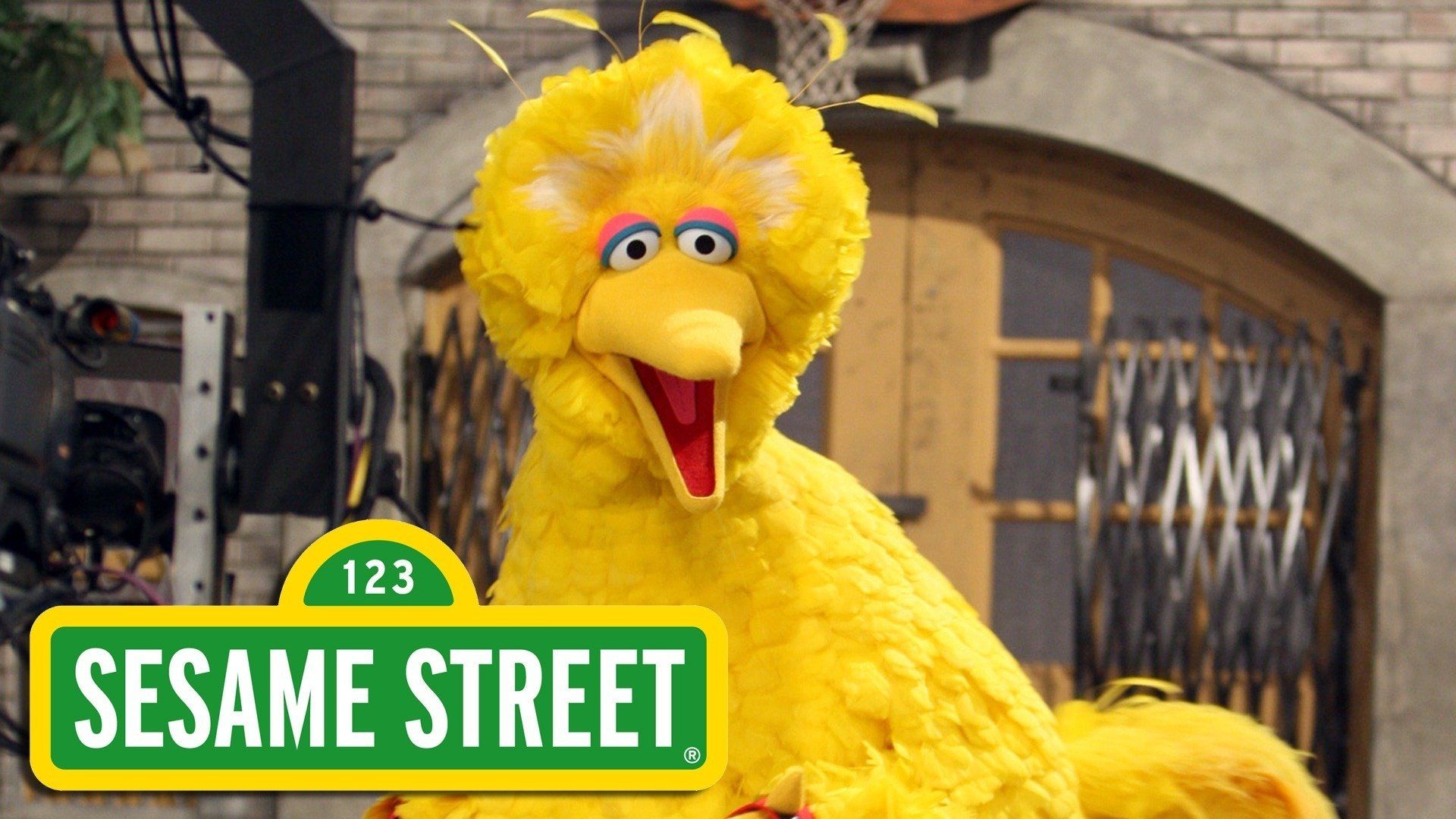 Watch Sesame Street • Season 47 Full Episodes Online - Plex